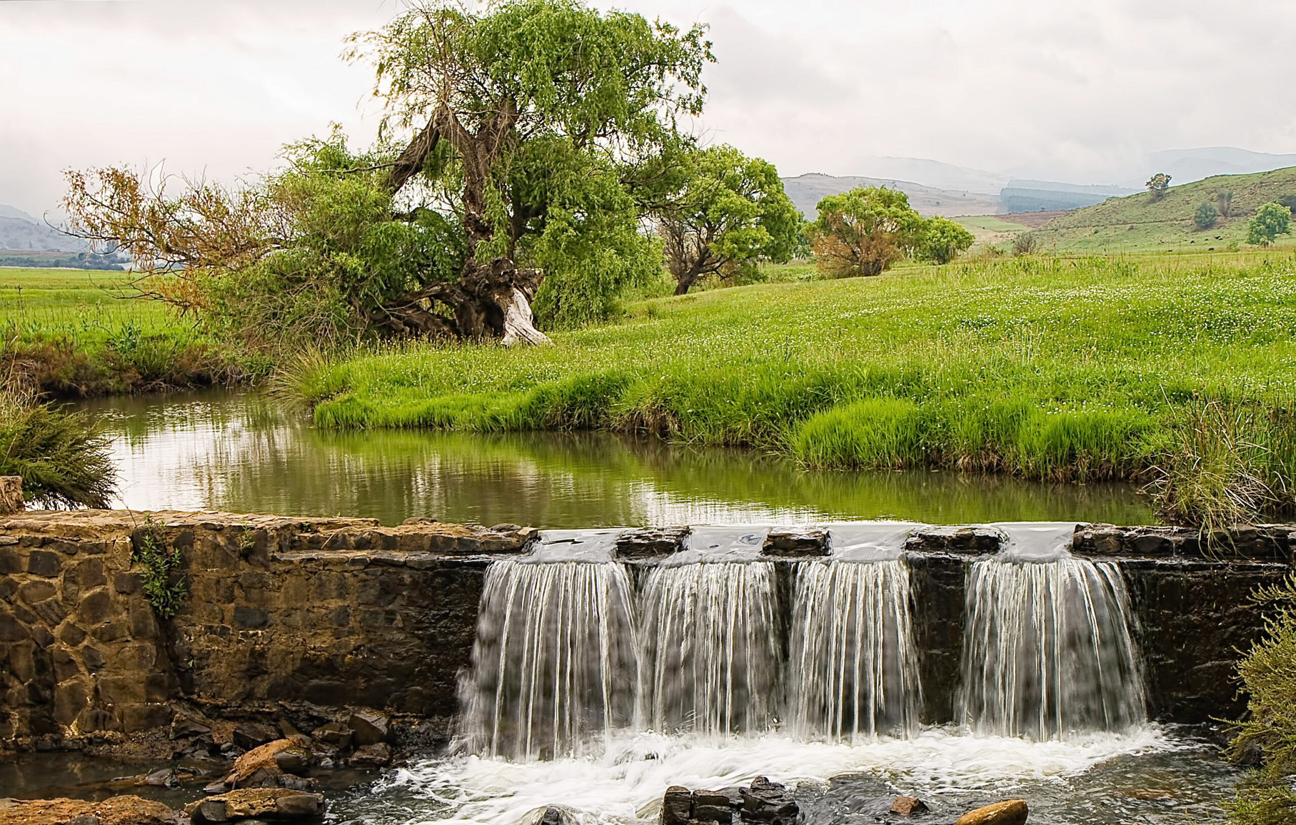 Watershed Management - Vdgie